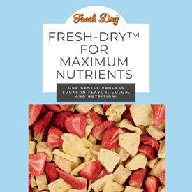 Fresh Dry Snacks | Oil-Free Veggie Chips & Healthy Fruit Mixes